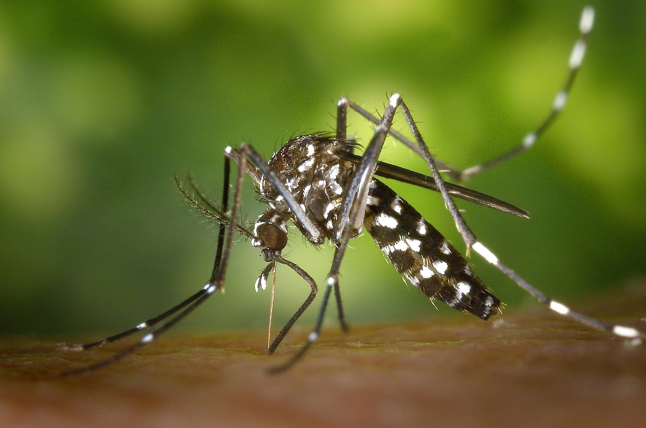 Biocentis Raises $19M to Advance Genetic Insect Control for Health and Agriculture