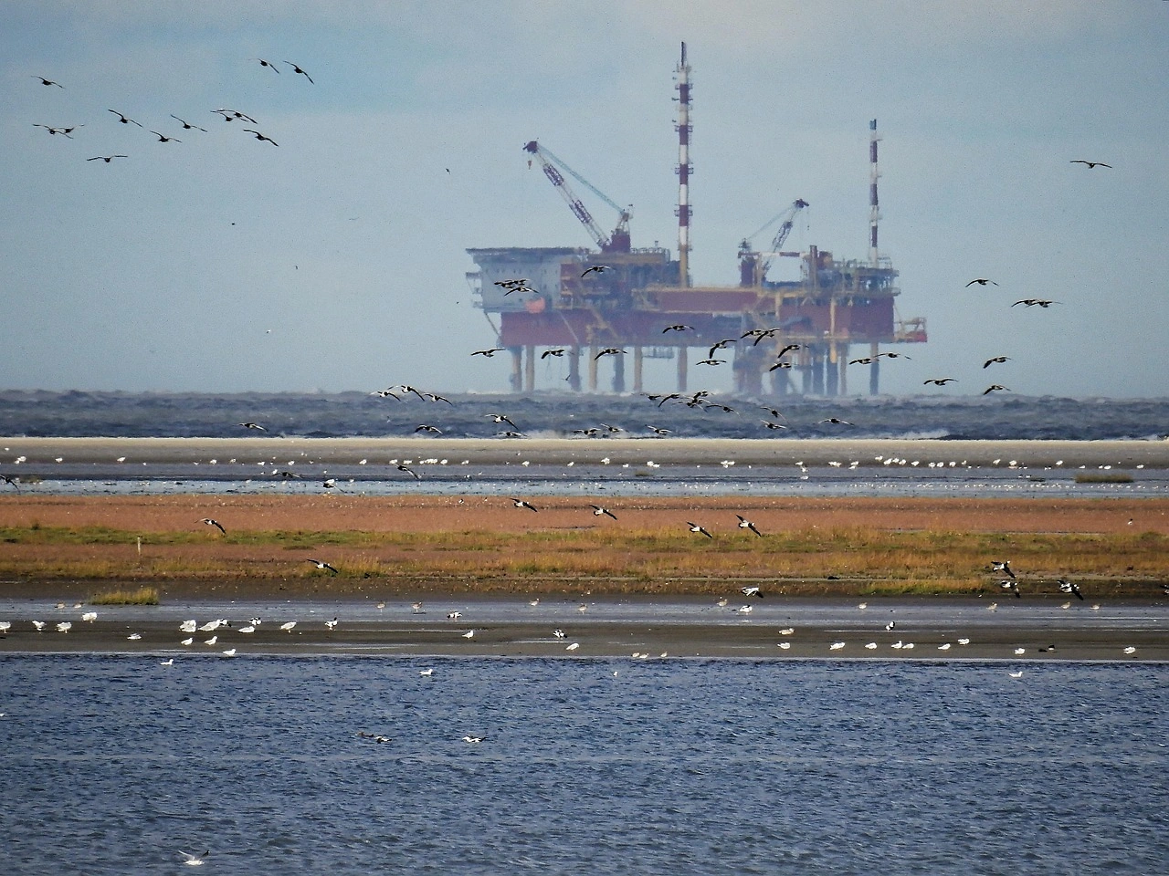 ExxonMobil Accuses Labour Government of Damaging UK Business with North Sea Ban