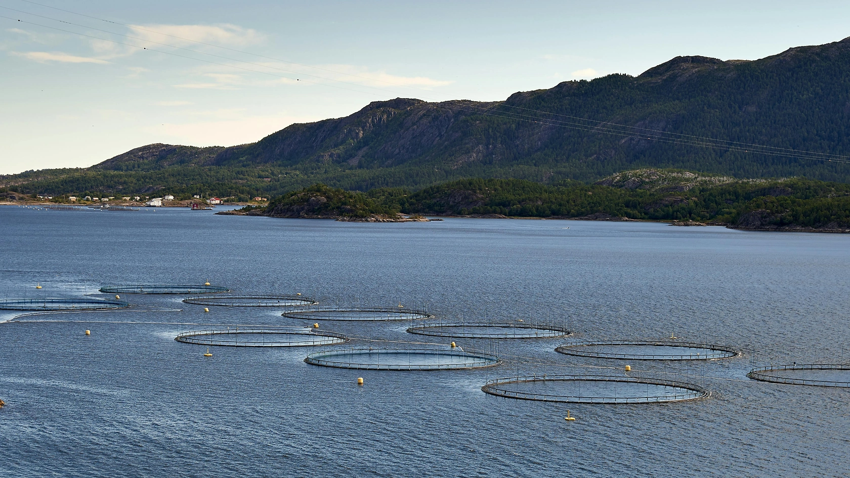 Norway's Seafood Exports Decline for Second Month in 2026