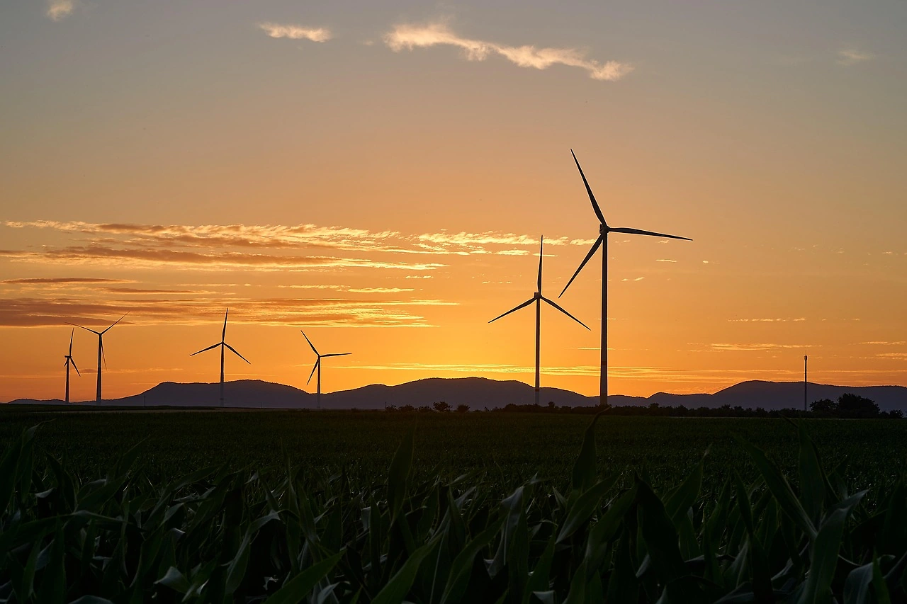 US in Active Talks Over Orsted's Rhode Island Wind Farm