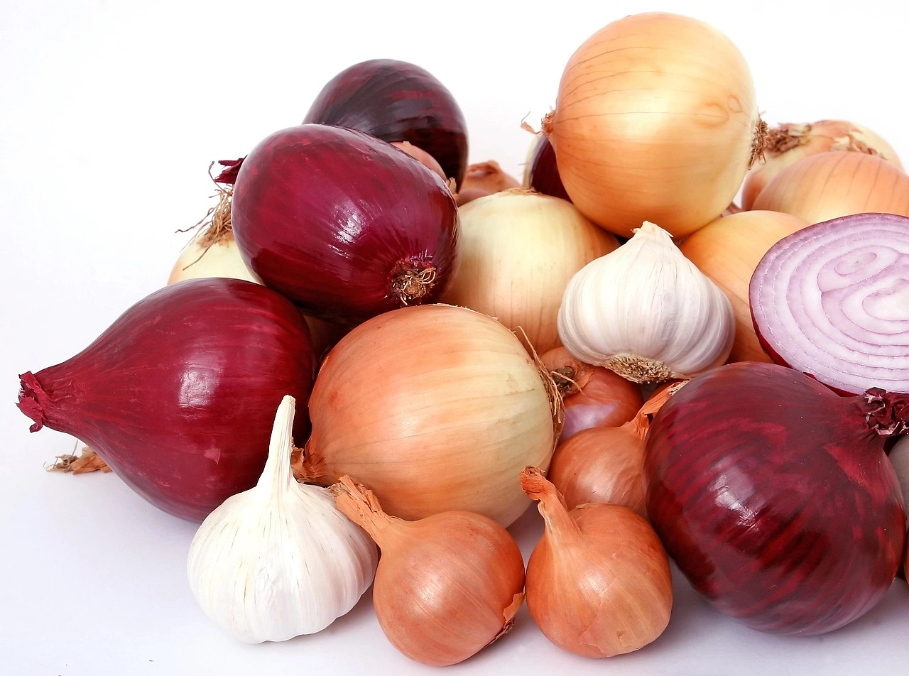 HUID Converts Onion Waste into Packaging, Named 2025 Sustainability Awards Finalist