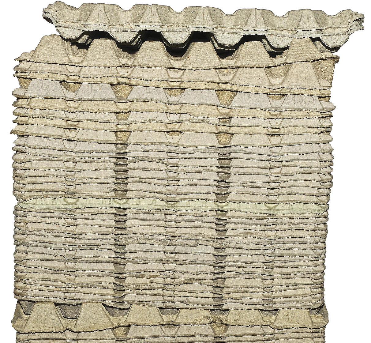 Z1RO Develops Moulded Fibre Packaging from Fallen Leaves and Hemp Hurds