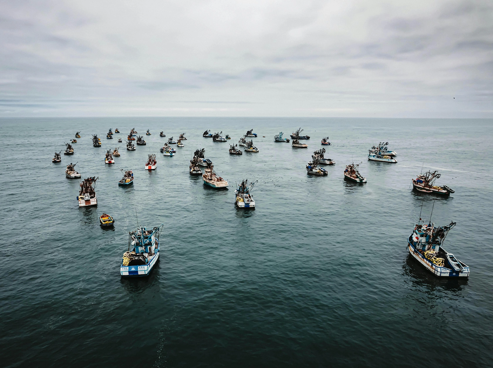 Peru's Fleet Catches 98% of 2025's Second Anchovy Quota