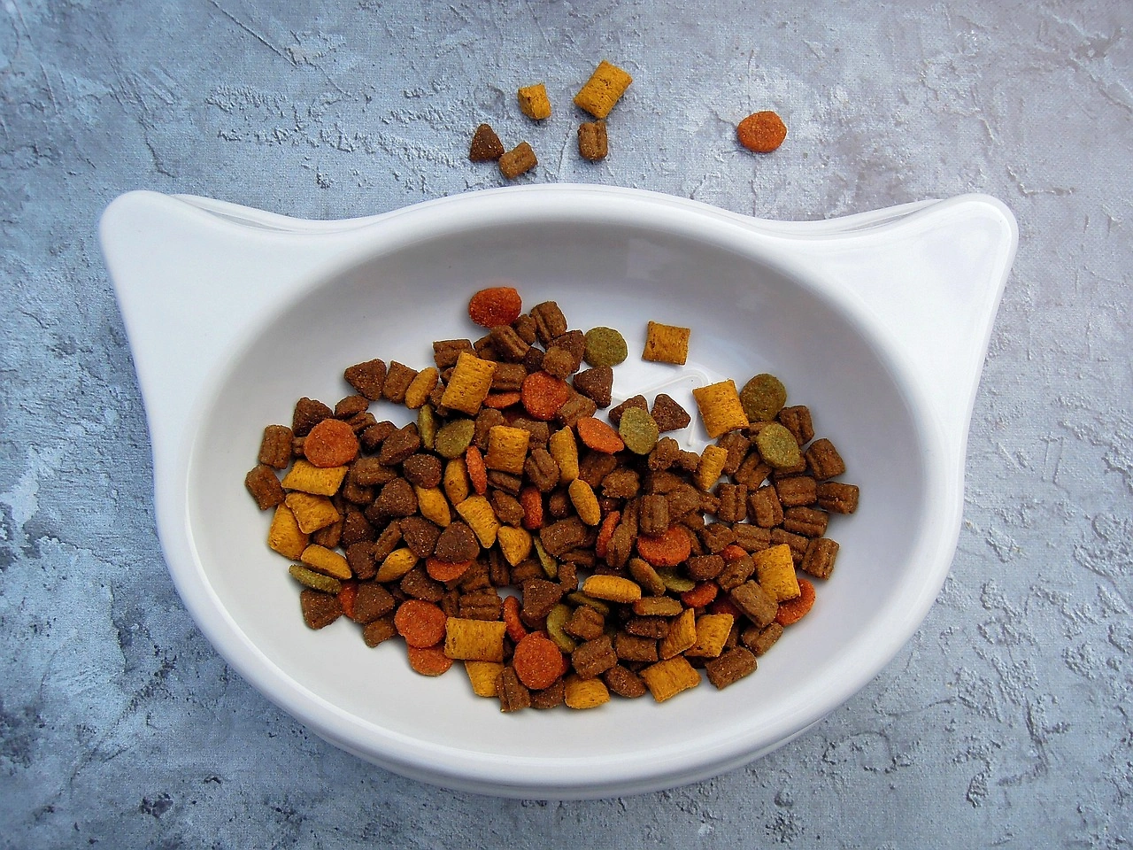 ADM Closes Pet Food Plant in Brazil Amid Strategic Shift
