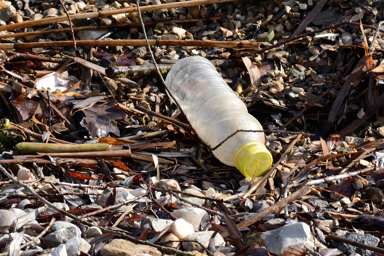 Scientists Transform Plastic Waste into Carbon Capture Material BAETA
