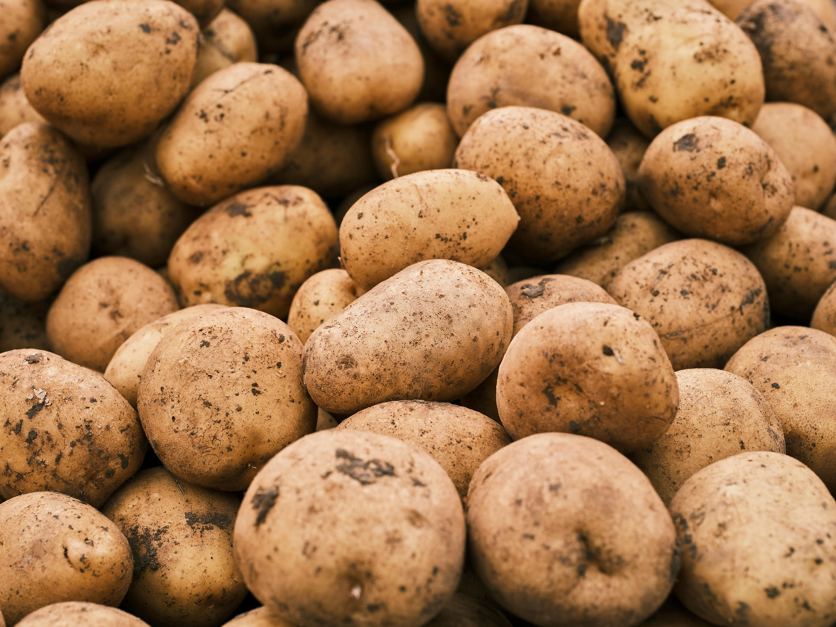 Farmers Report Weakening Demand for Potatoes Amid Rise of Weight-Loss Drugs