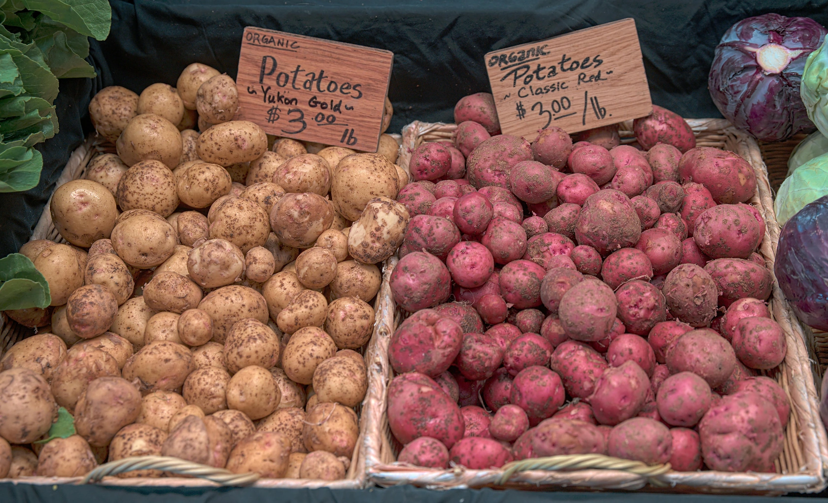 Tesco and Branston Launch Low-Carbon Potatoes with 50% Lower Emissions