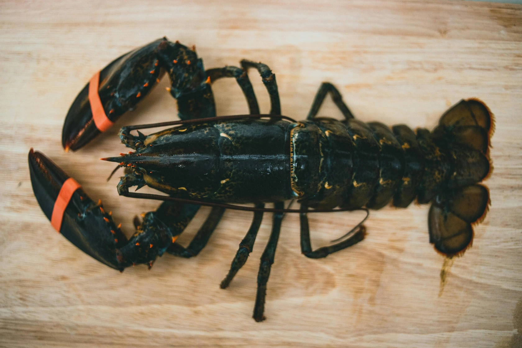 Red Lobster Reviews Restaurant Footprint for Potential Closures