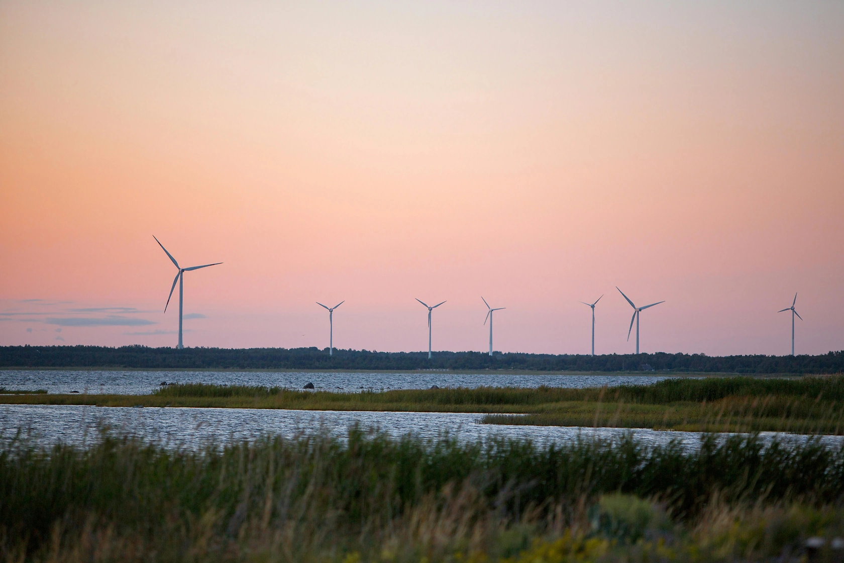 Estonia's Solar Growth Moderates in 2025 as Market Nears Peak