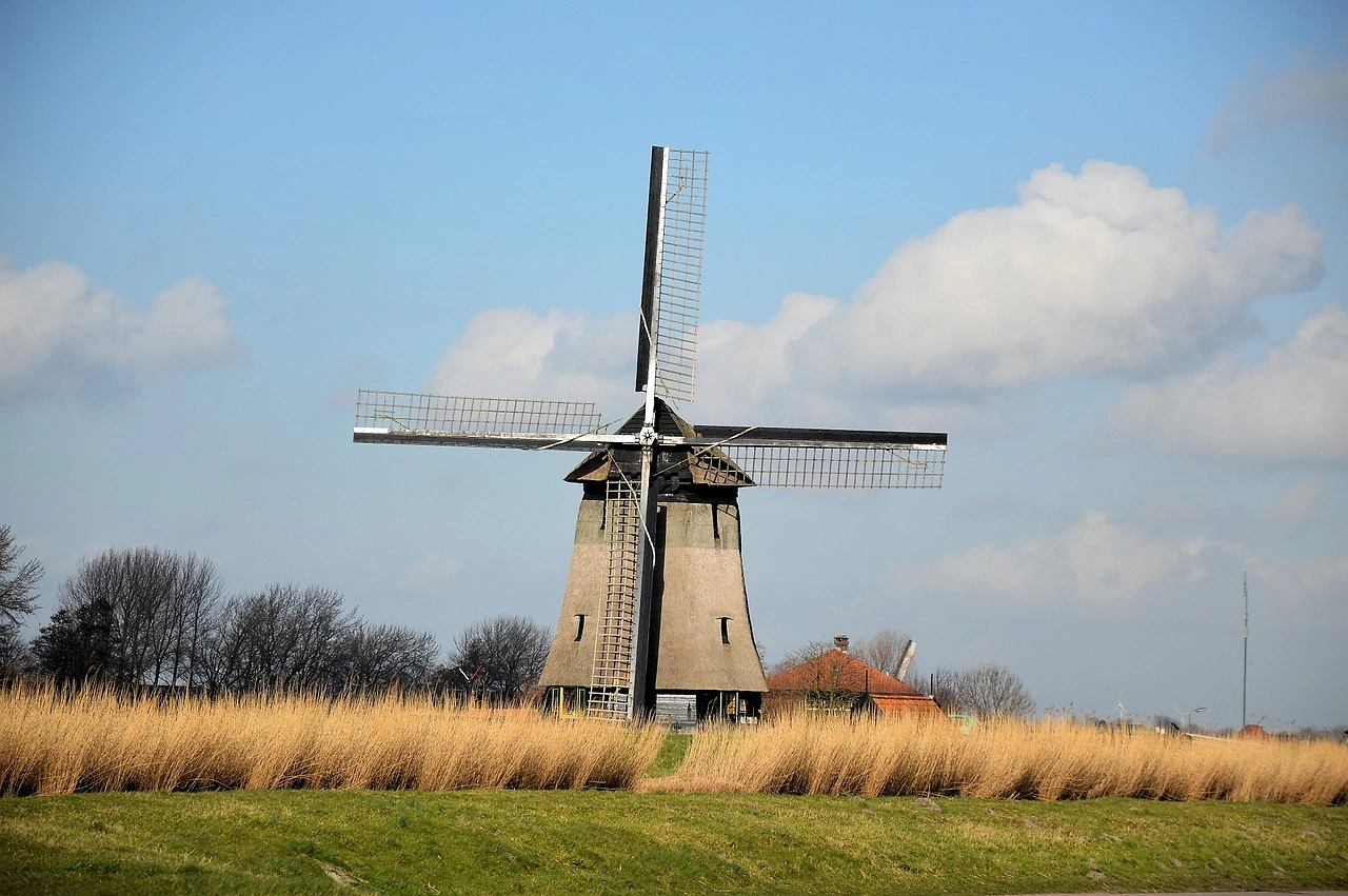 Dutch Electricity Production and Exports Reach Historic Highs in 2025