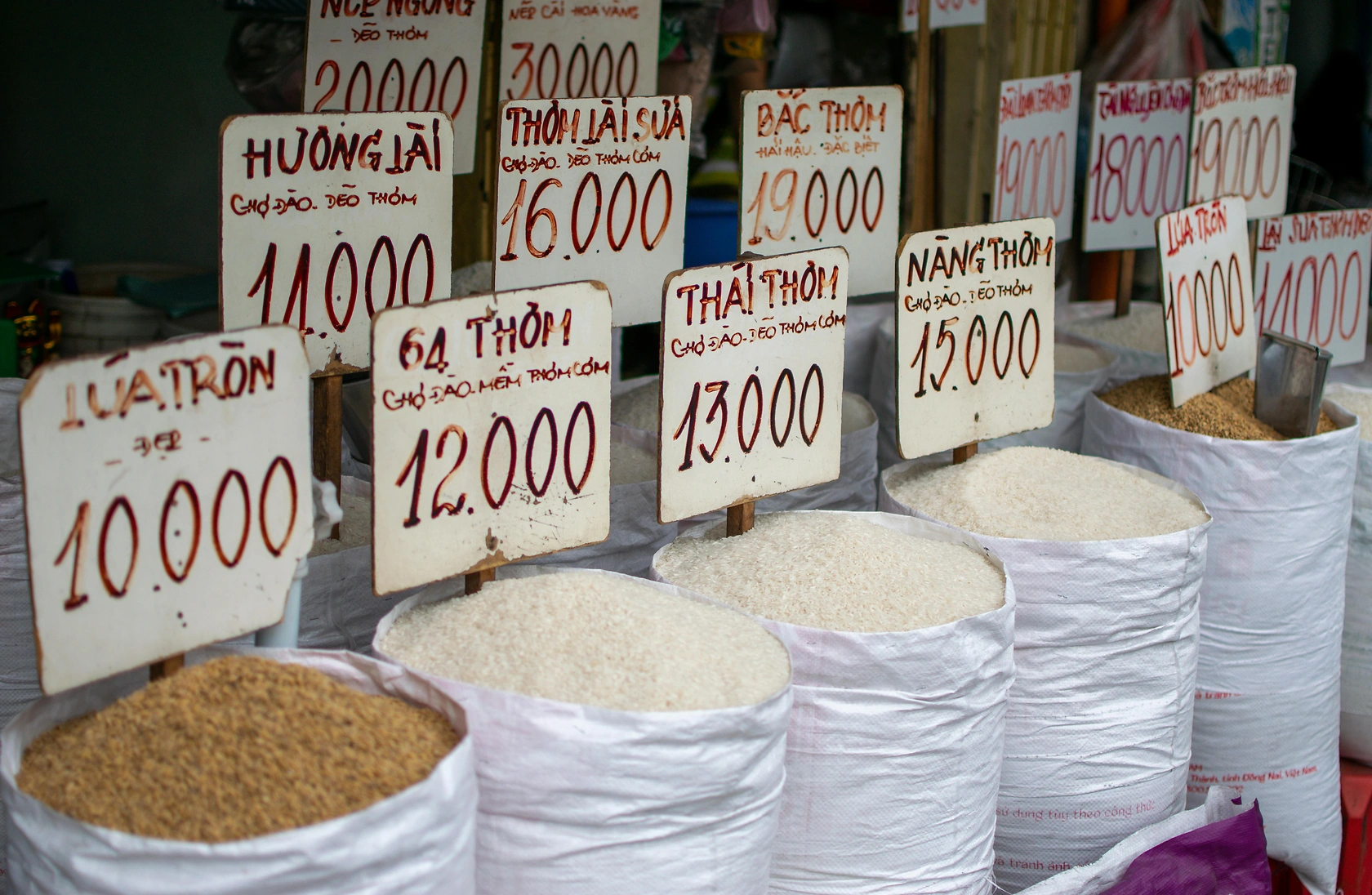 Global Rice Prices Forecast to Stay Weak in 2026 Amid Surplus Supplies