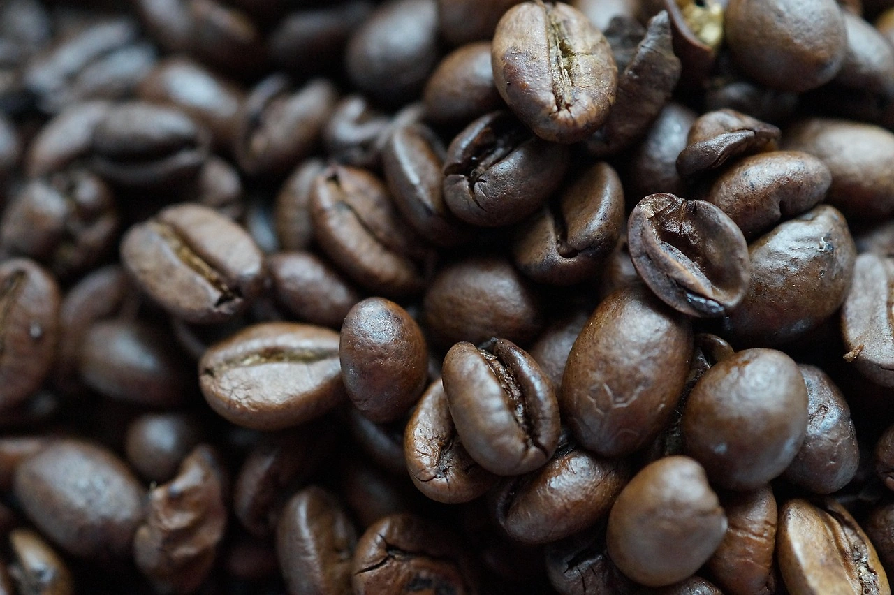 Brazil's Coffee Taste Shifts as Farmers Turn to Robusta