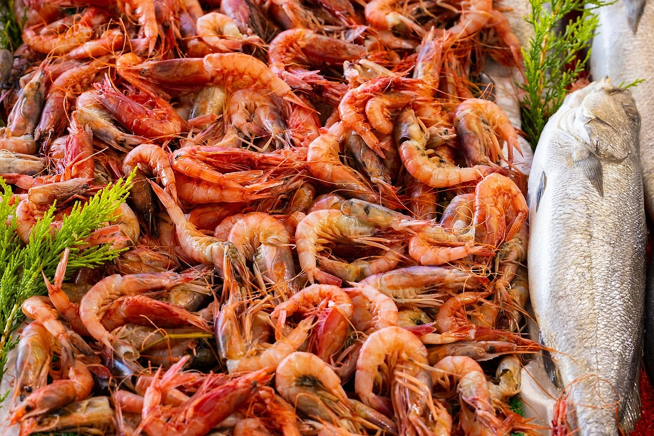 Seafood Brands Launch New Convenience & Protein-Focused Products Ahead of Expo
