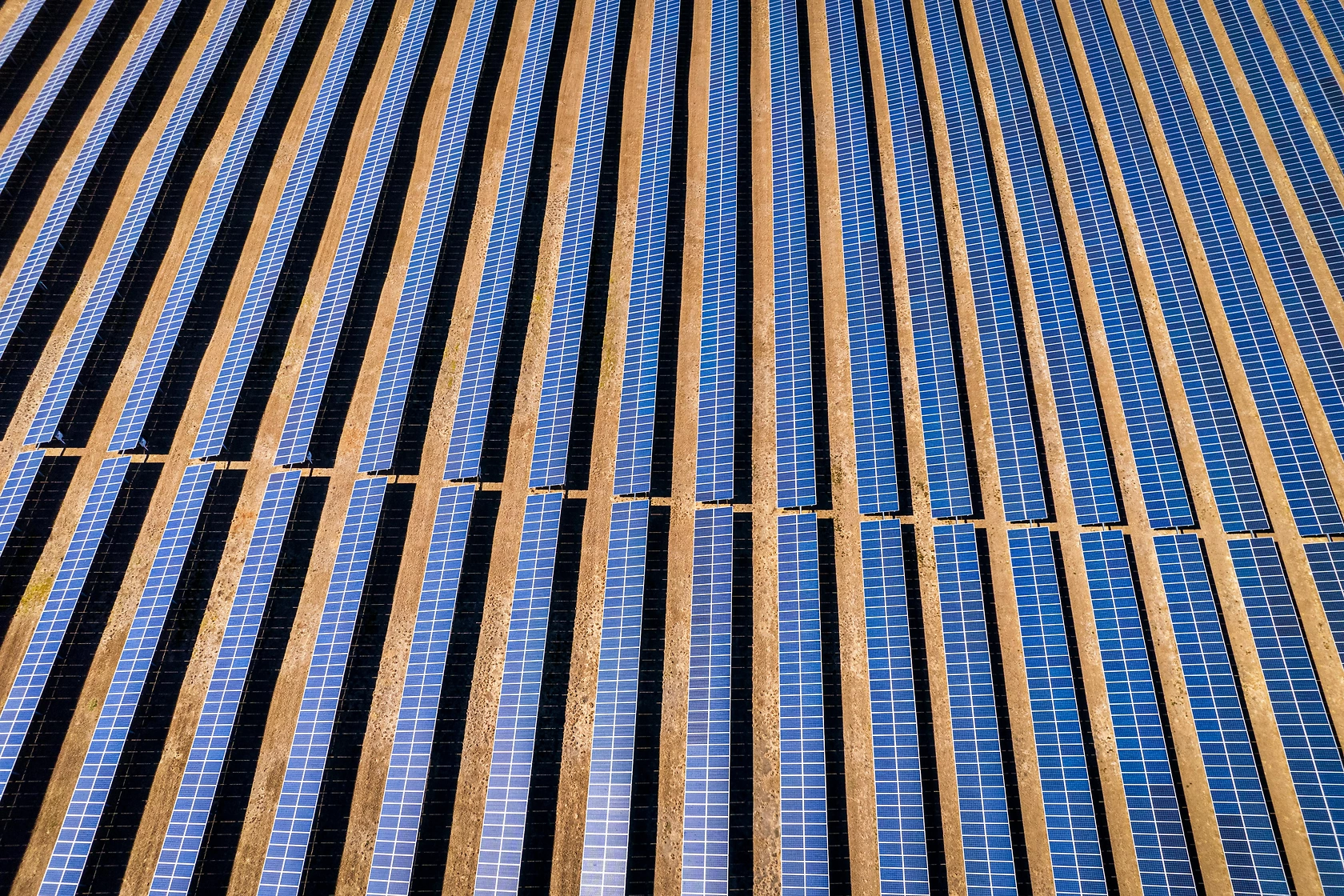 Boviet Solar Parent Company Seeks Exit, Puts Vietnam and U.S. Operations Up for Sale