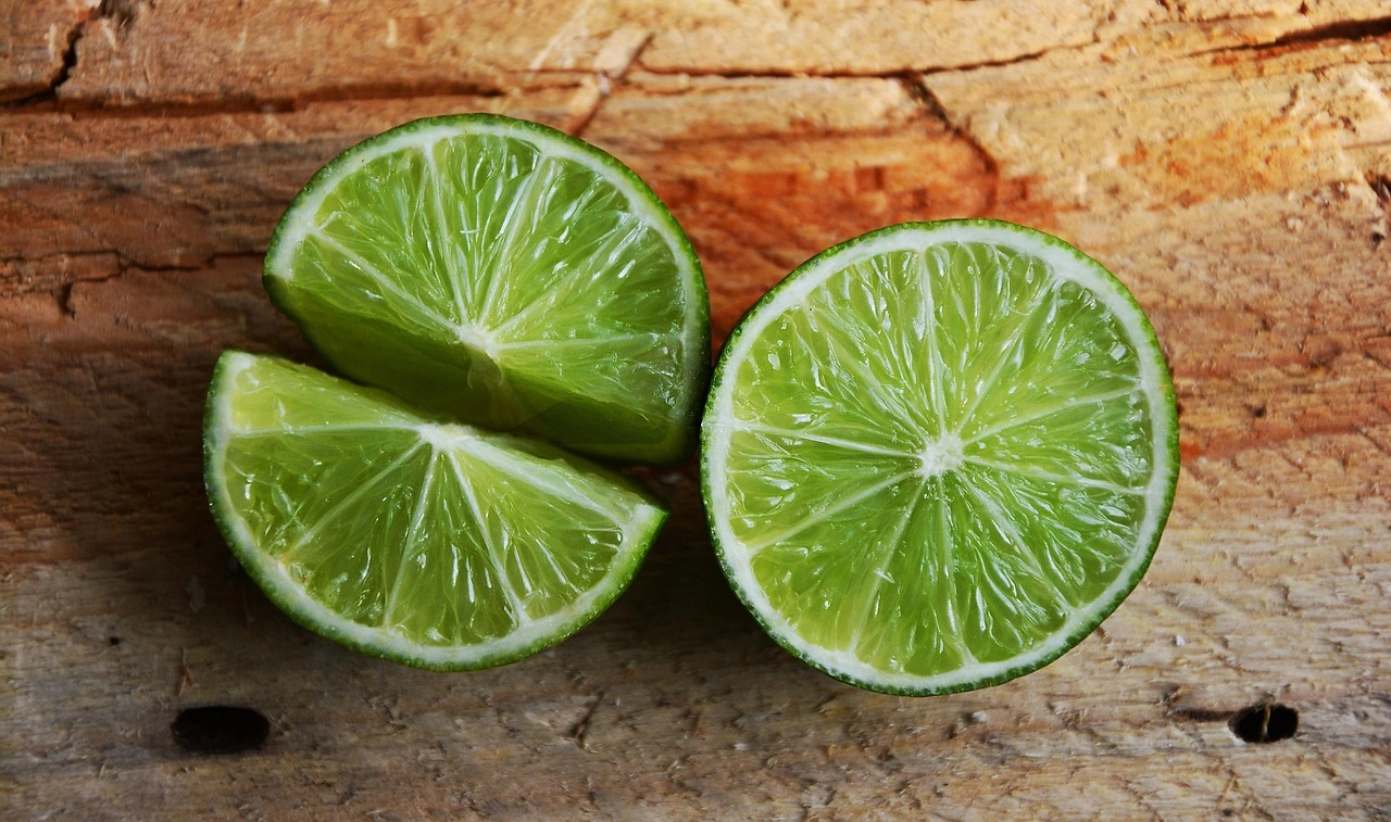 Impact of U.S. Tariffs on South African Citrus Exports