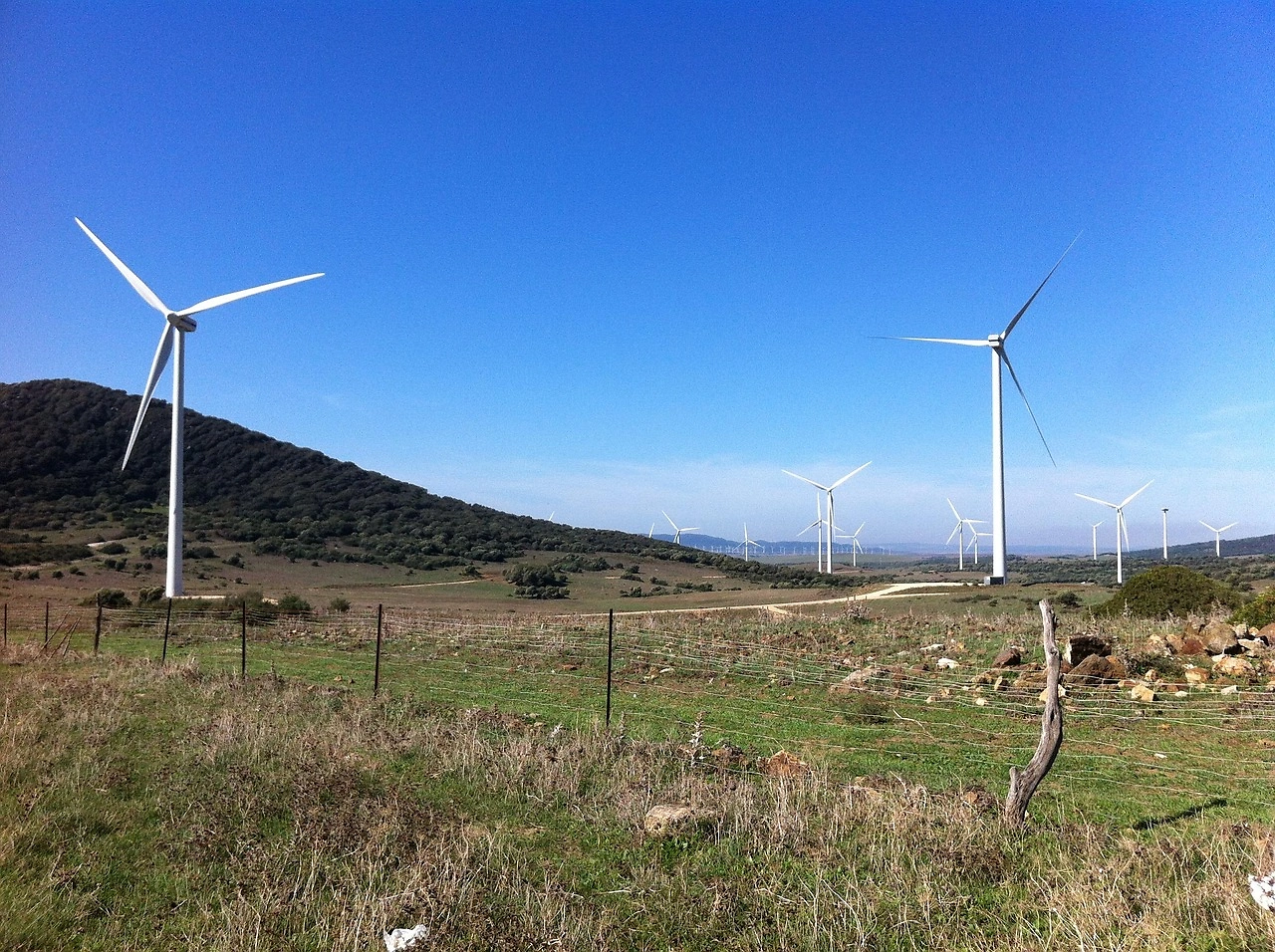 Haffner Energy and IGNIS P2X Launch AeroVerde Bio/e-SAF Project in Spain