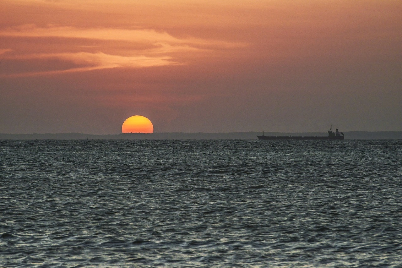 Suardiaz Energy Finalizes Methanol Bunker Tanker Deal with Moeve