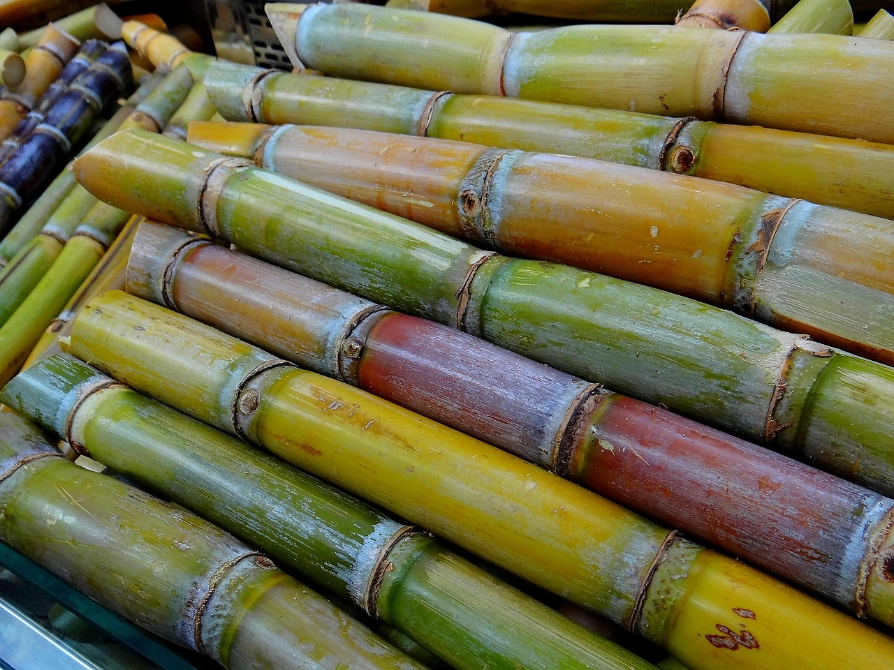 Sugar Prices Drop on Higher Thailand Production Forecast