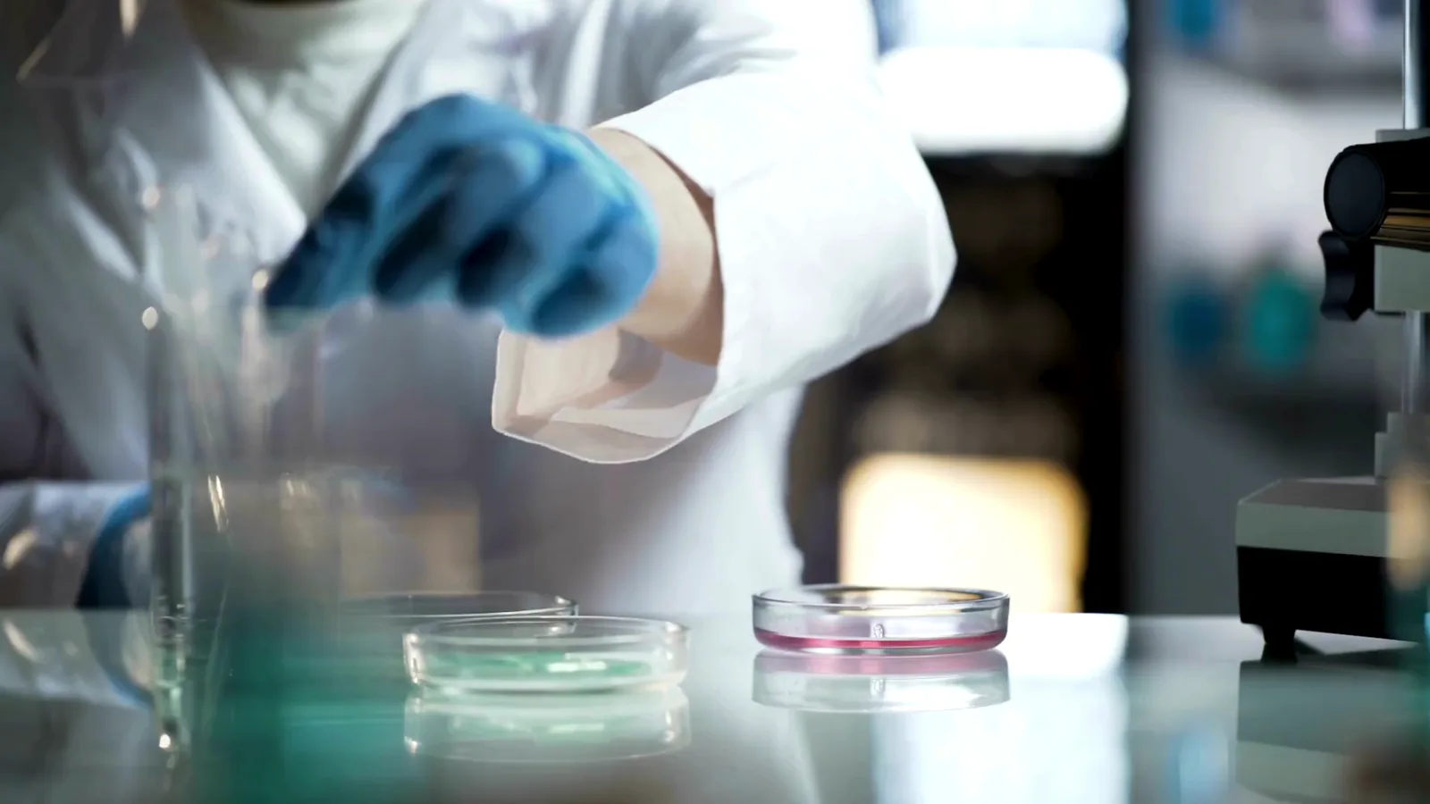 Manchester Biotech Secures £3M Seed Funding for Organelle Crop Engineering Platform