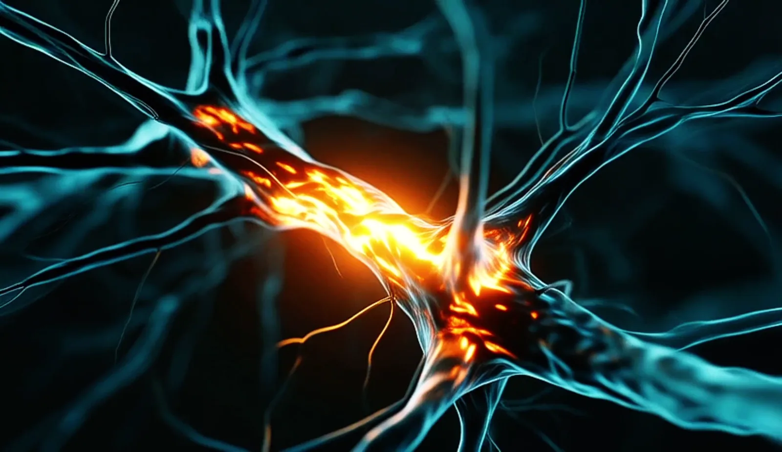 Minerva Neurosciences Reports Q4 and Full-Year 2025 Financial Results