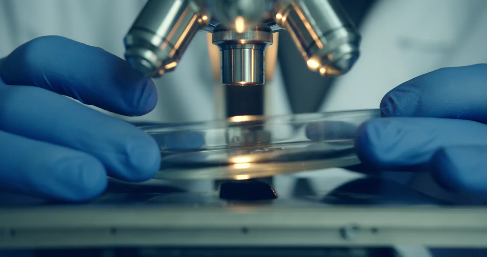 Harvard Bioscience Reports Quarterly Loss, Annual Results