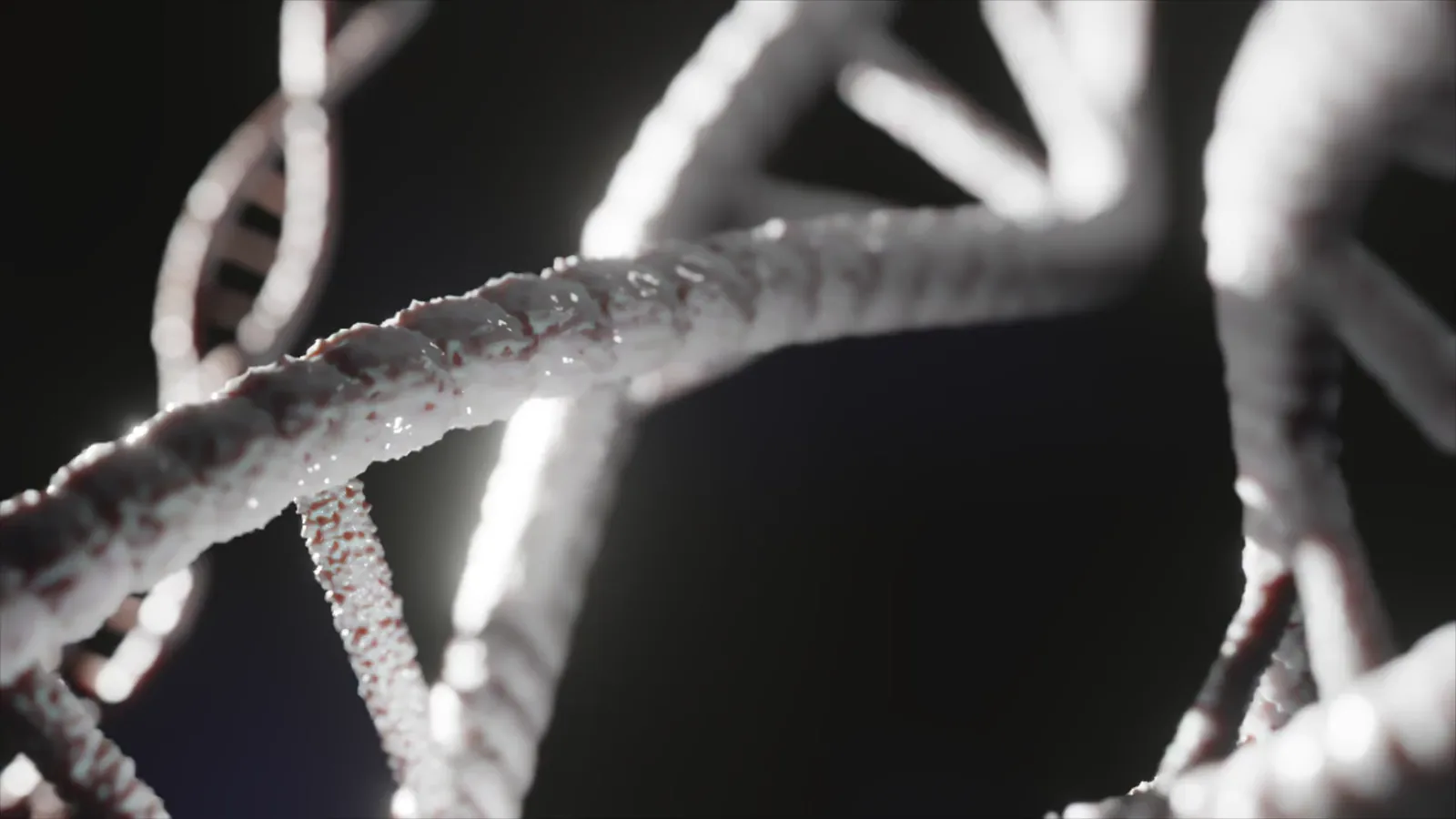 Bolt Biotherapeutics Q4 and Full-Year 2025 Financial Results