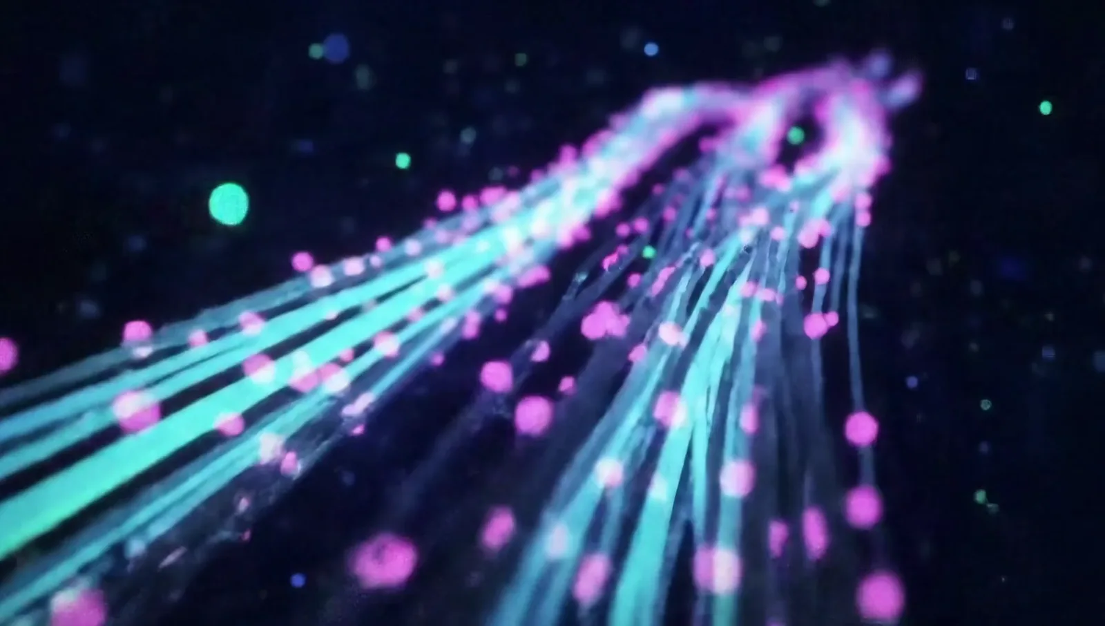 Content Delivery Sector Reports Strong Q4 Results, Fastly Leads Peers