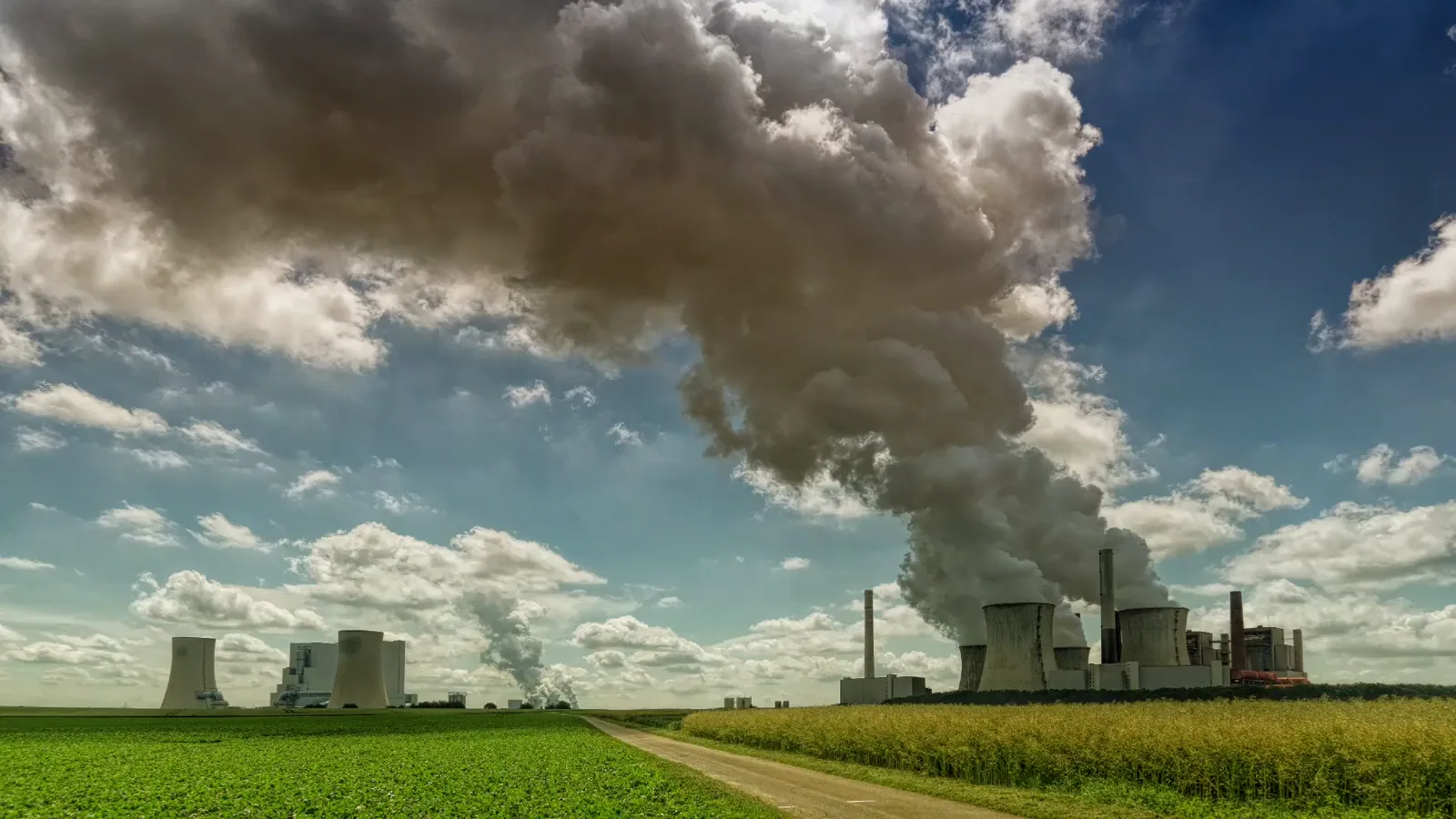 Coal Prices Sustain High Levels Amid Indonesia Policy and Middle East Conflict