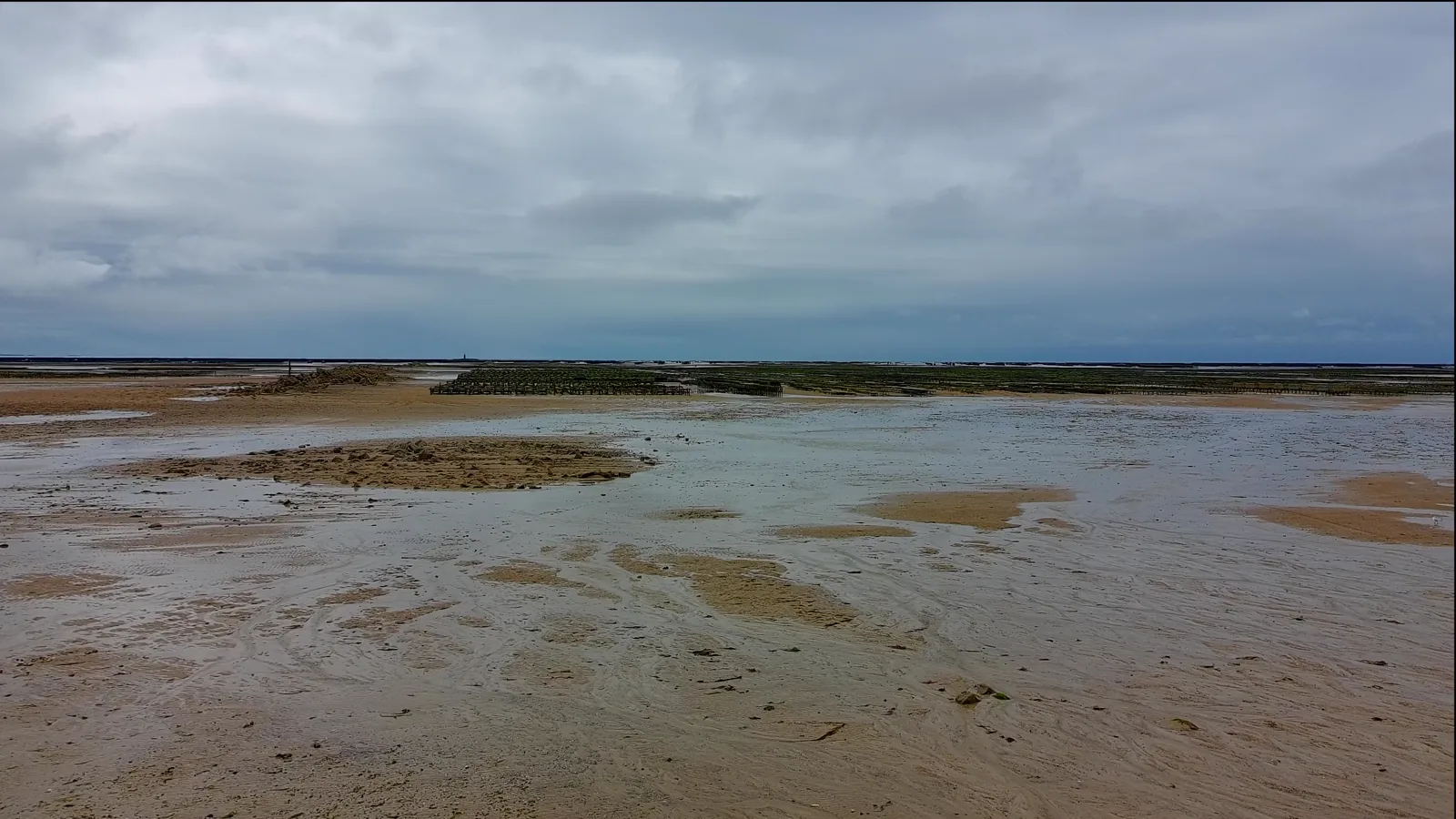 Seagrove: Alaska's Self-Sufficient Mariculture Leader