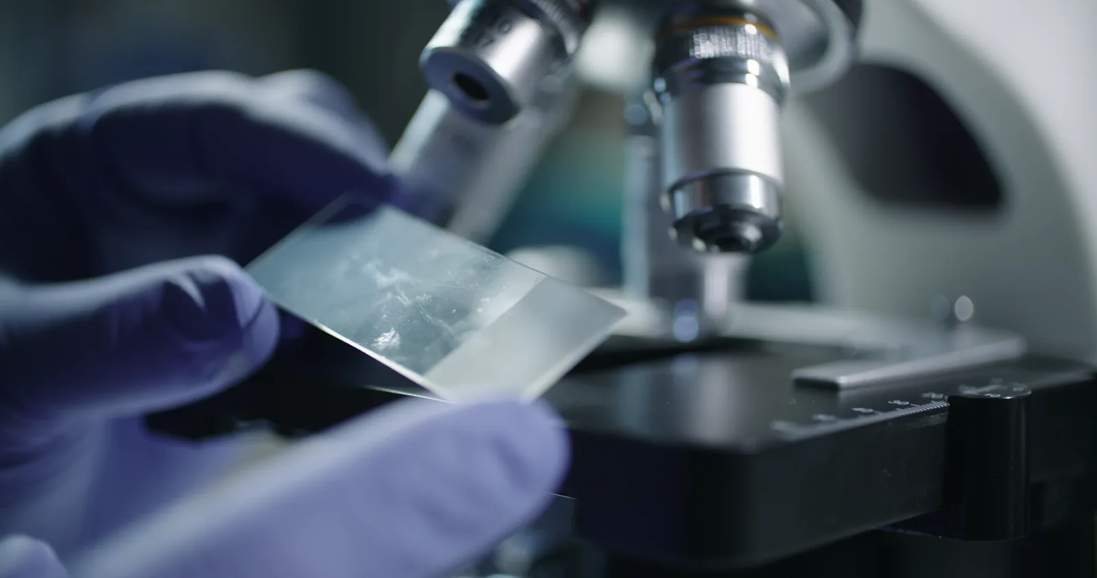 Research Tools and Consumables Sector Q4 Results Analysis