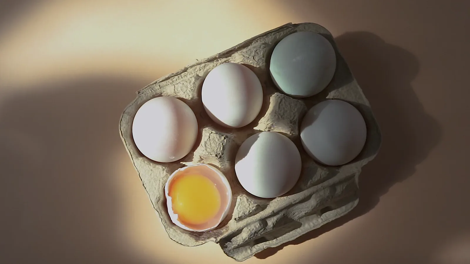 New York Shell Egg Prices Unchanged on March 20, 2026