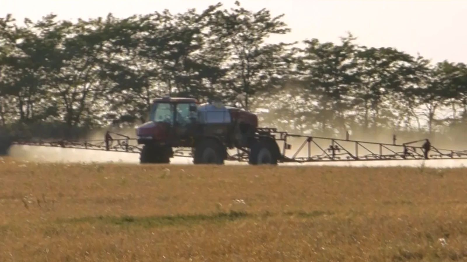 ICL Opens New Specialty Fertilizer Plant in Maharashtra to Bolster India's Food Security
