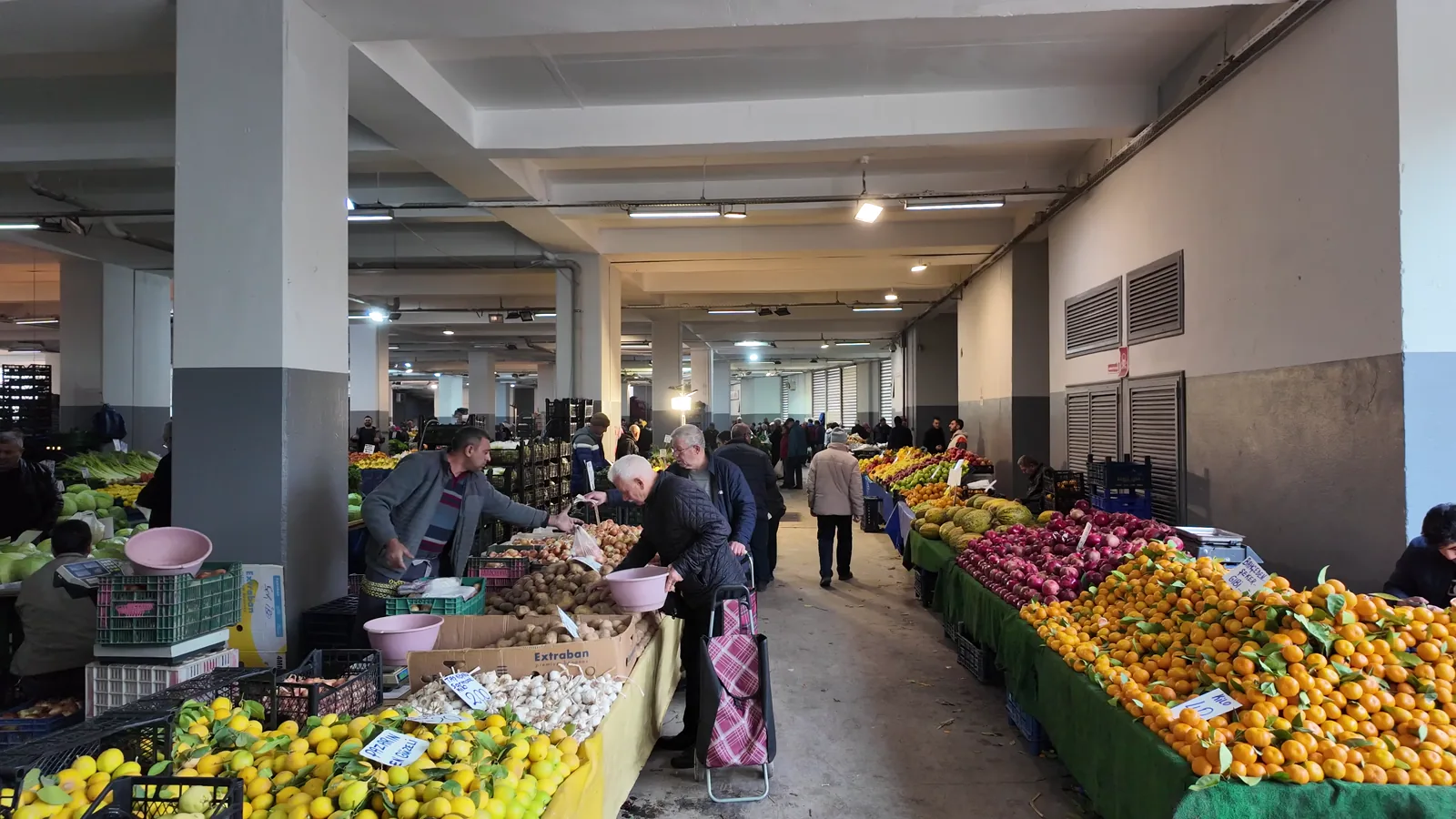 Columbia Terminal Fruit Market Report: March 2026 Conditions Steady