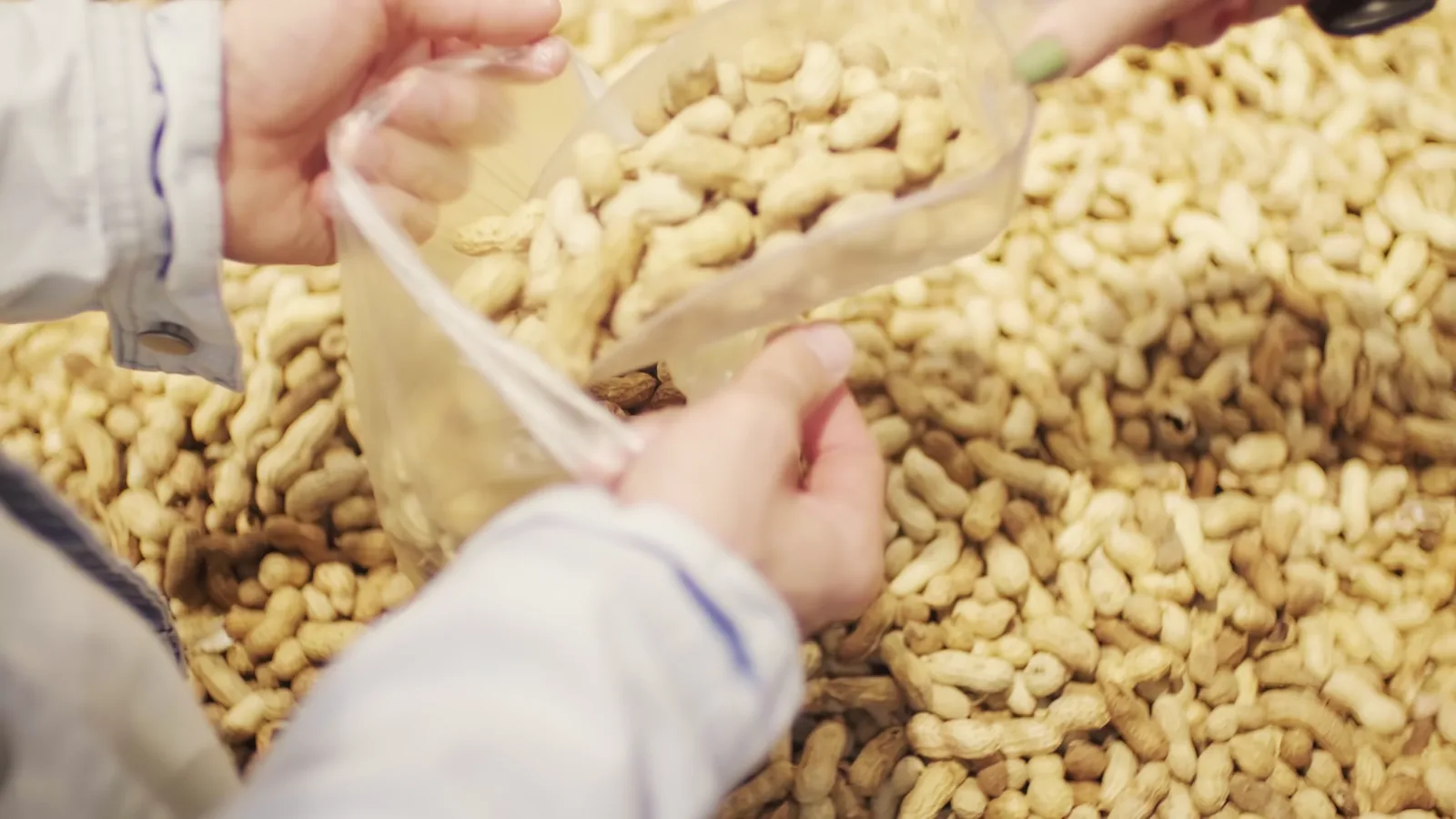 Nut Markets Steady on Terminal: Peanuts, Pecans, Walnuts Prices Reported March 2026