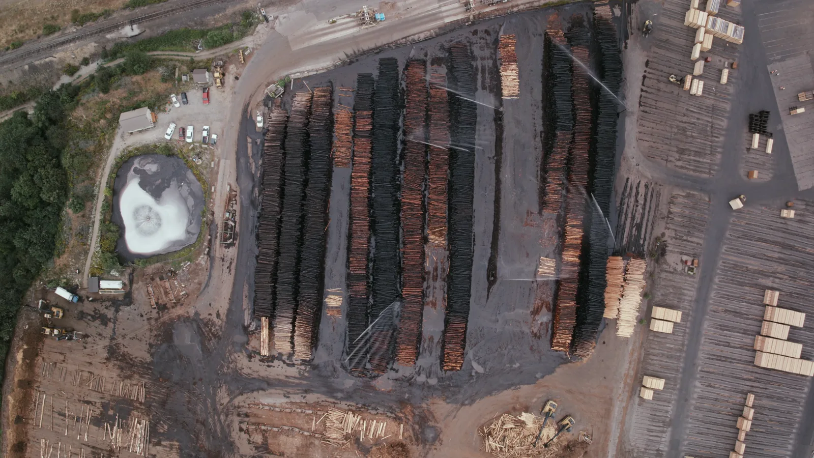 West Fraser Seeks 5-Year Tax Exemption for Florida Sawmill Expansion