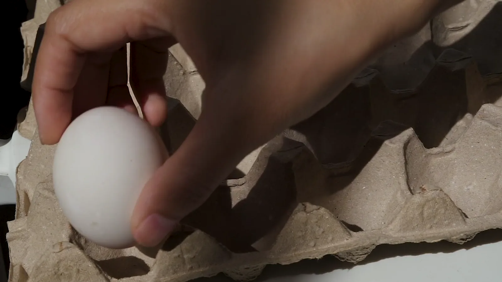 National Shell Egg Prices Decline Amid Weak Market Undertone in March 2026