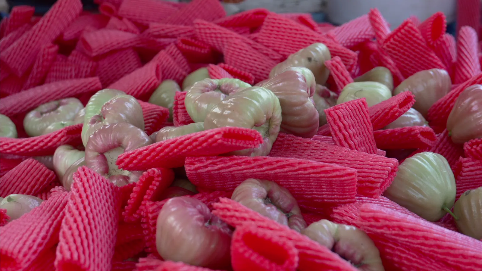 French Fruit Industry Adapts to Climate, Regulatory Shifts in 2026