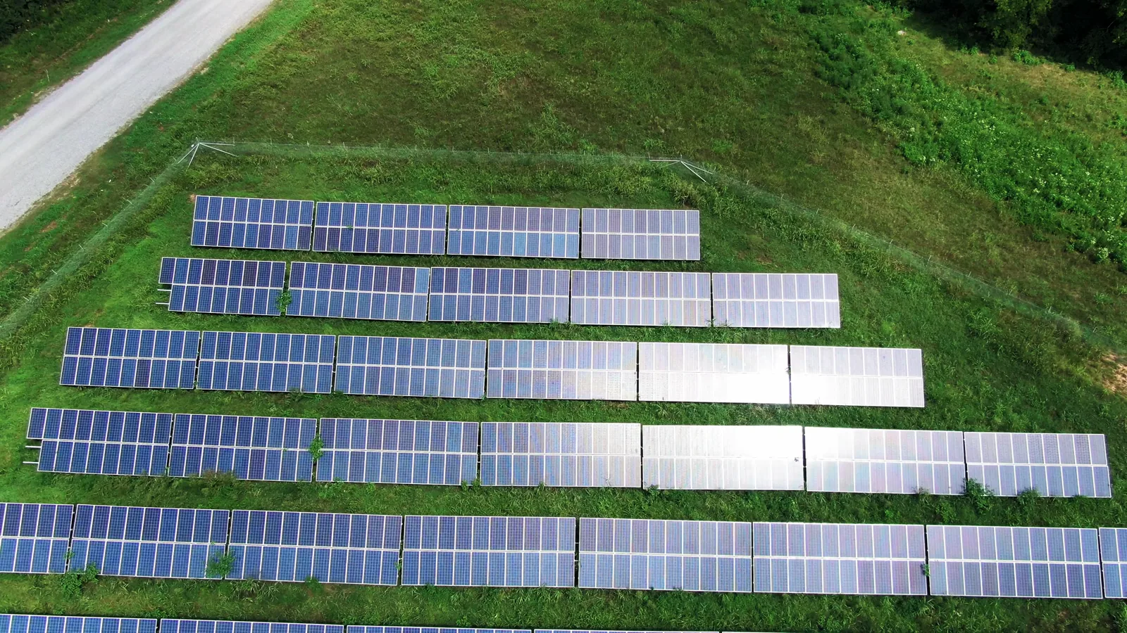 LONGi Chairman Details Solar-Storage-Hydrogen Strategy at Boao Forum 2026
