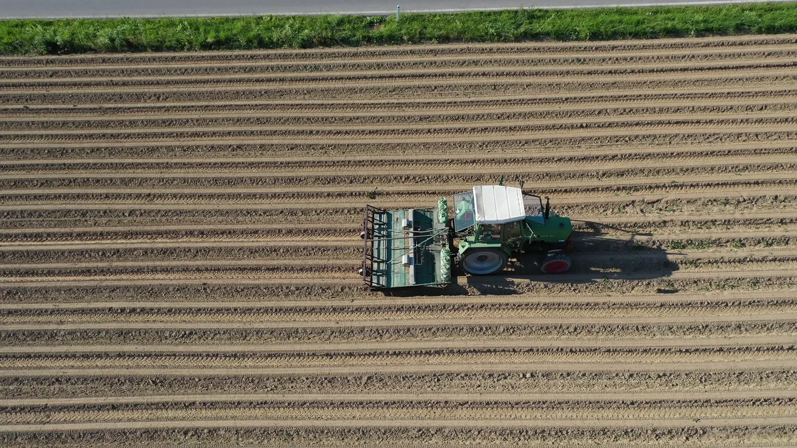 Pesticide Exposure Linked to 150% Higher Cancer Risk in Peru, Study Finds
