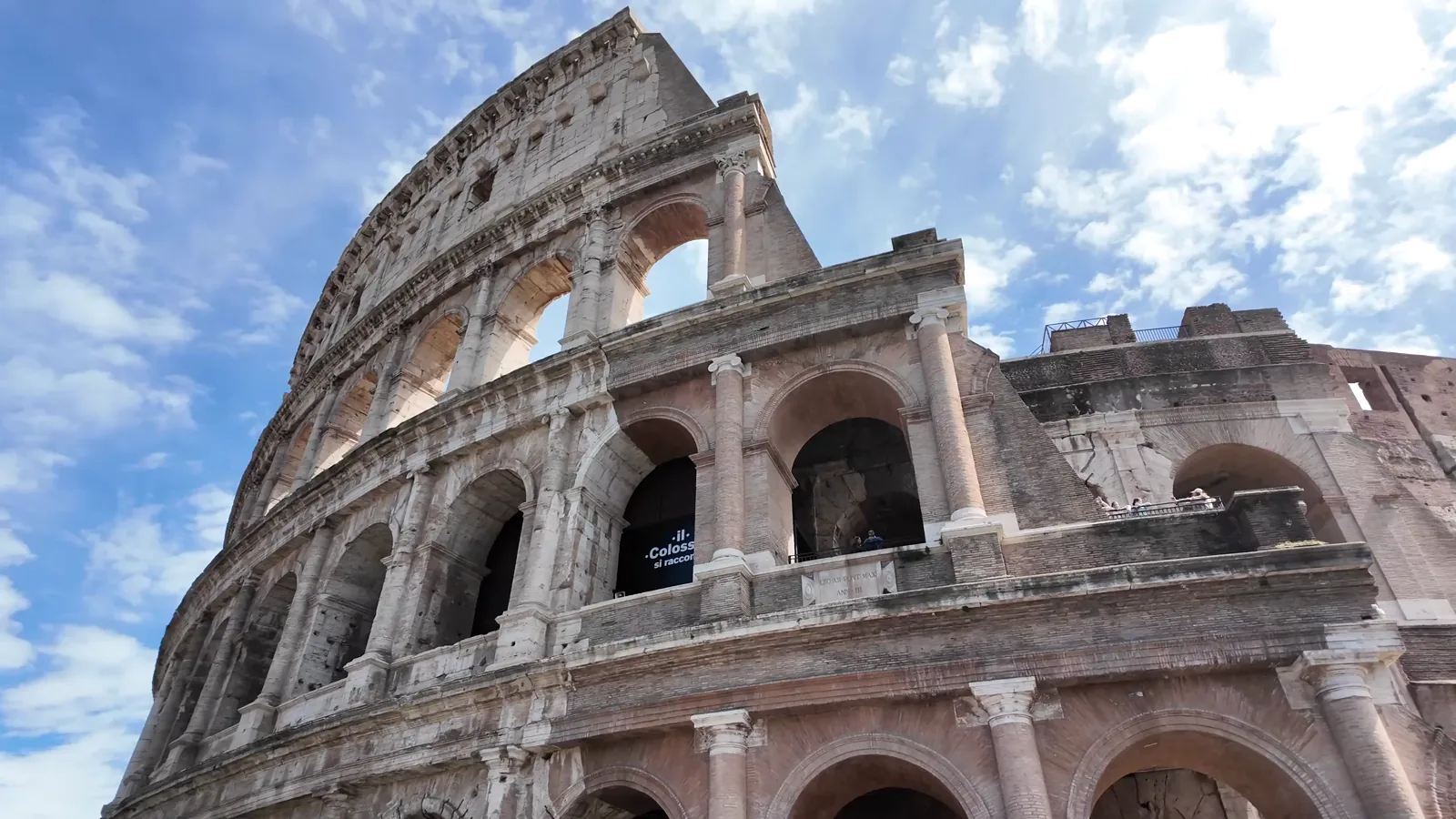 Urban Olive Harvesting Initiative Launches in Rome's Colosseum Park