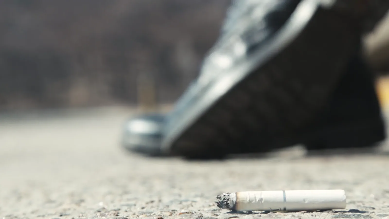 Dutch Tobacco Tax Revenue Falls 15% in 2025, Reaching 2016 Levels