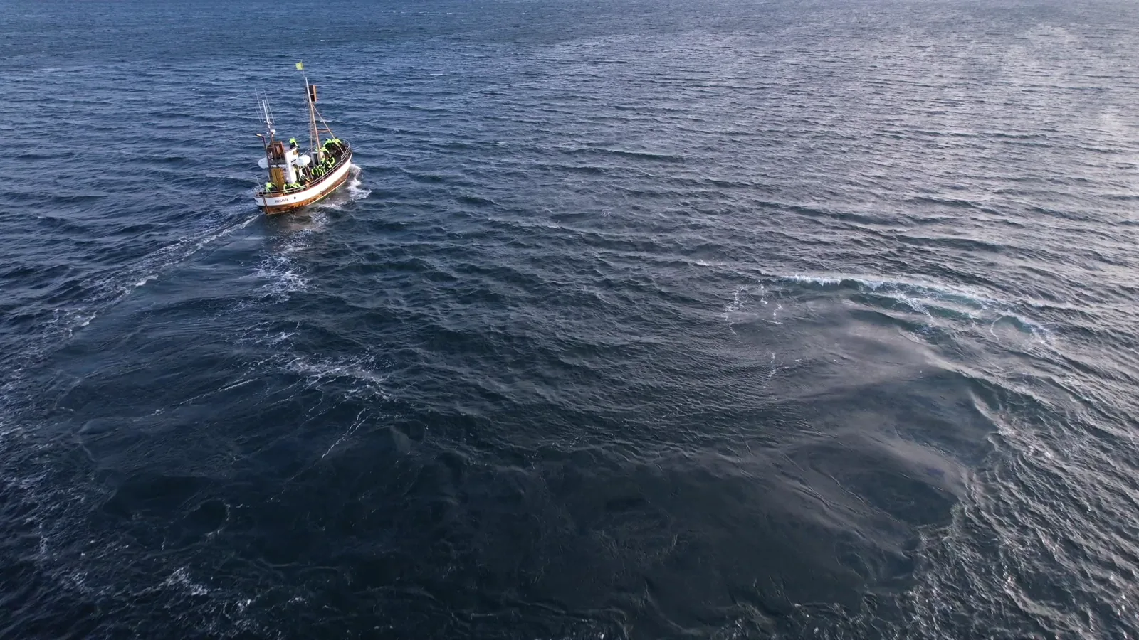 Atlantic Salmon Supply Enters Period of Constraint Amid Geopolitical and Trade Shifts