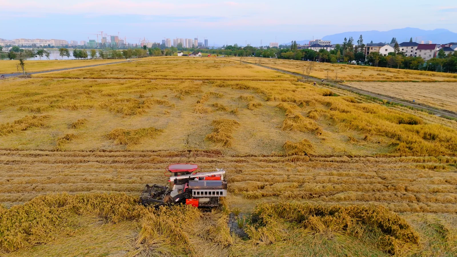 China Pledges $17 Billion Annual U.S. Agricultural Imports Beyond Soybeans for Three Years