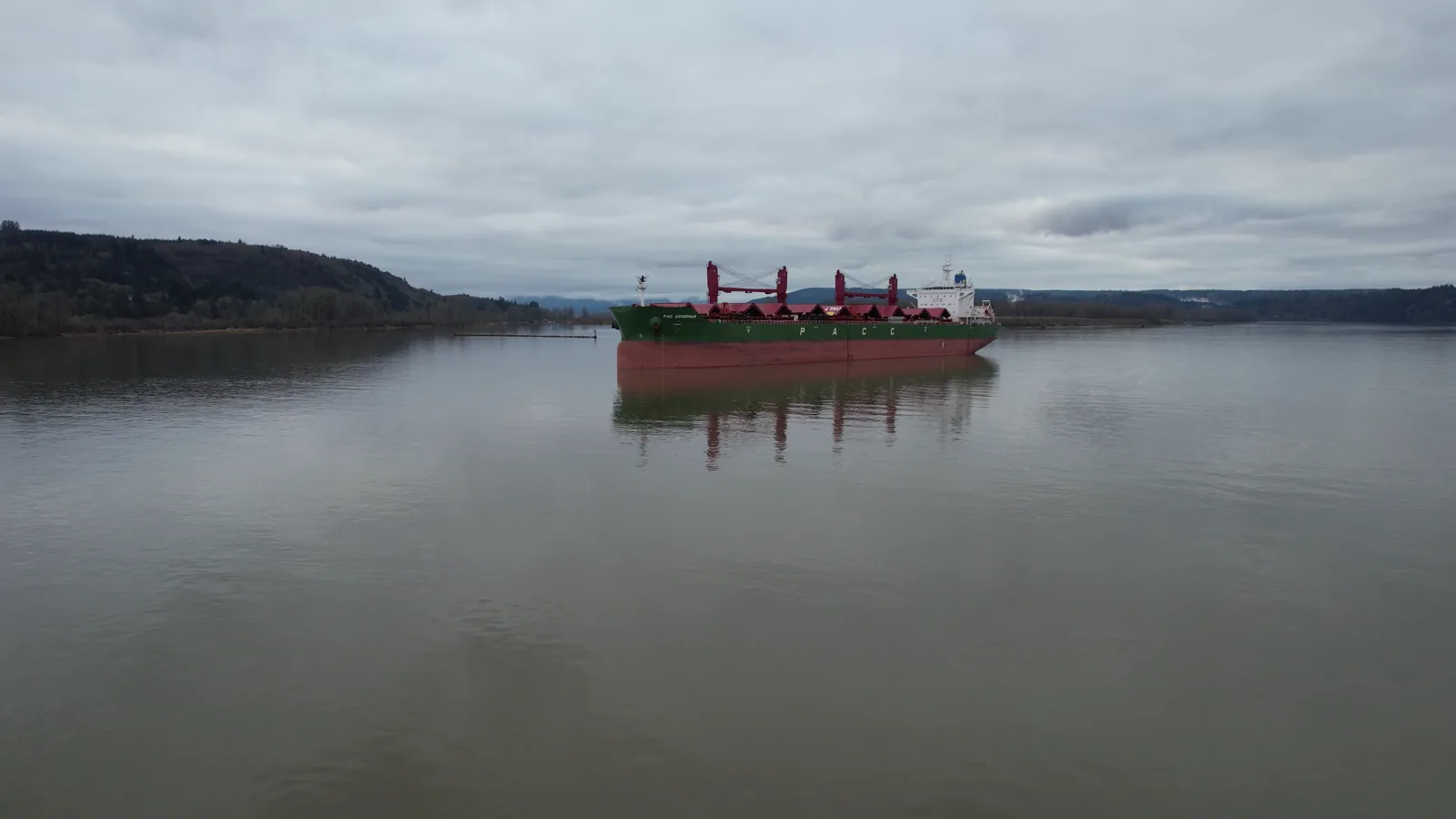 Portland Daily Grain Bids Report: Mixed Wheat Prices at Pacific Ports on May 19, 2026