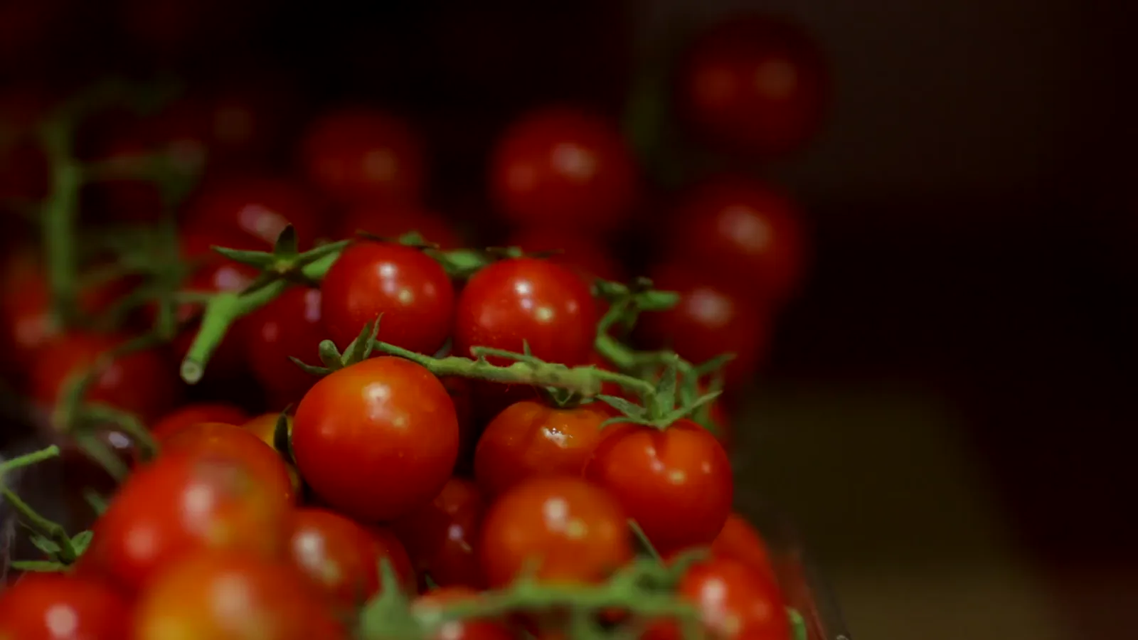 USDA Wholesale Fruit Market Report: Philadelphia Terminal Market – May 20, 2026