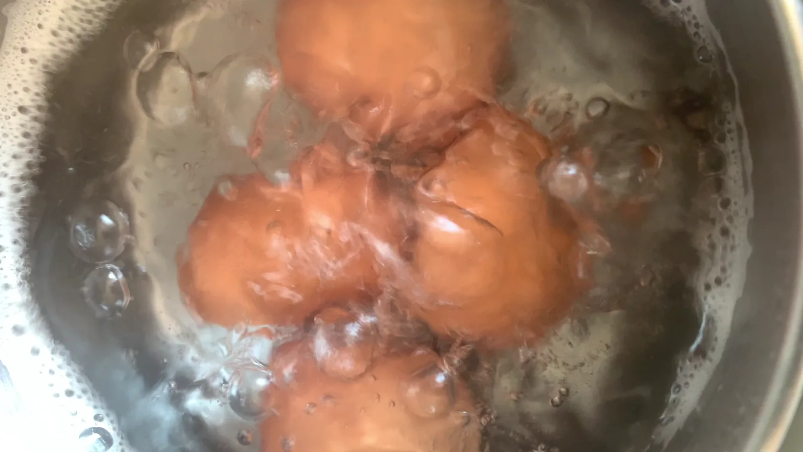 USDA Reports Decline in New York Caged Shell Egg Prices on May 20, 2026