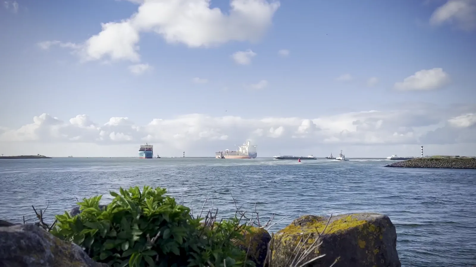 Port of Rotterdam Confirms Safe Ship-to-Ship Ammonia Bunkering in Active Port