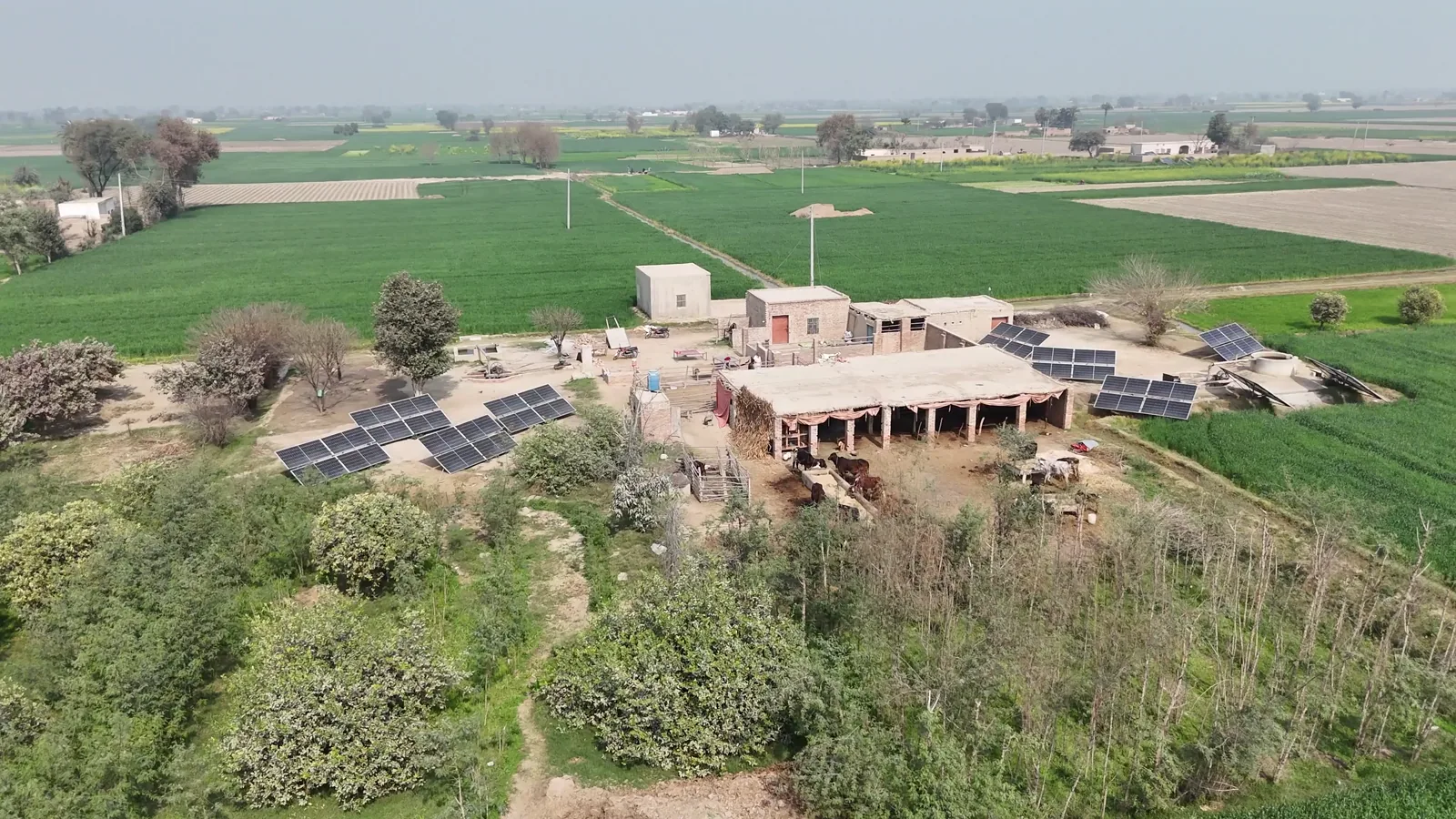 Pennar Industries Invests INR 5.8 Crore in ZAP91 Solar India for Telangana Module Plant