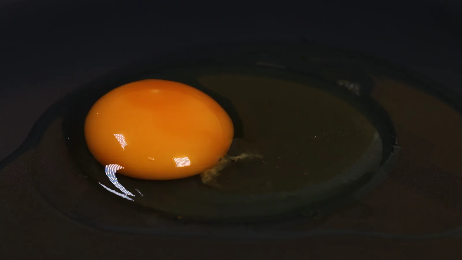 USDA Egg Products Report: April 2026 Shell Eggs Broken at 201 Million Dozen