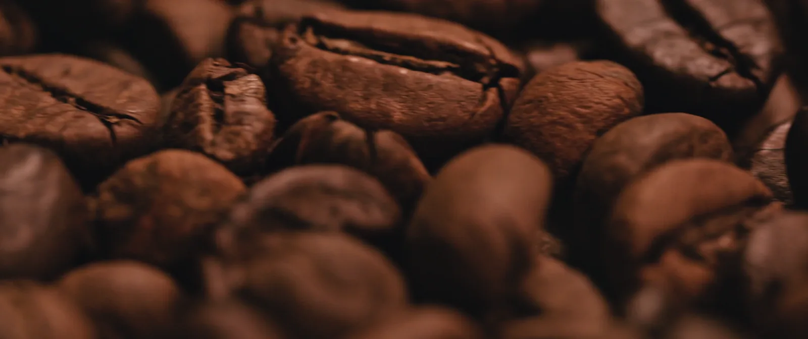 Coffee Market Mixed: Harvest Pressure and Hail Damage in Brazil (May 2026)